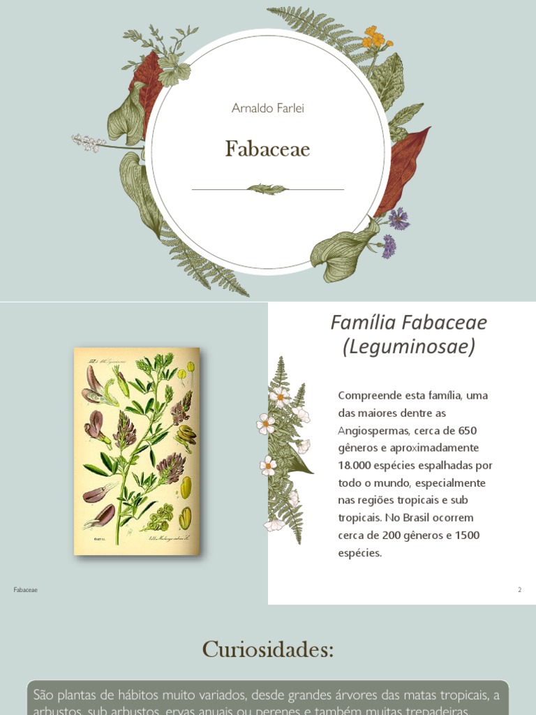 Fabaceae | PDF