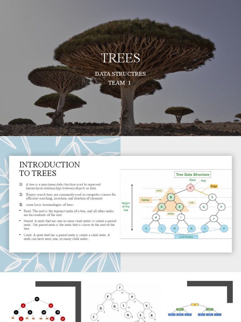 Ds Tree Pdf Algorithms And Data Structures Computer Science