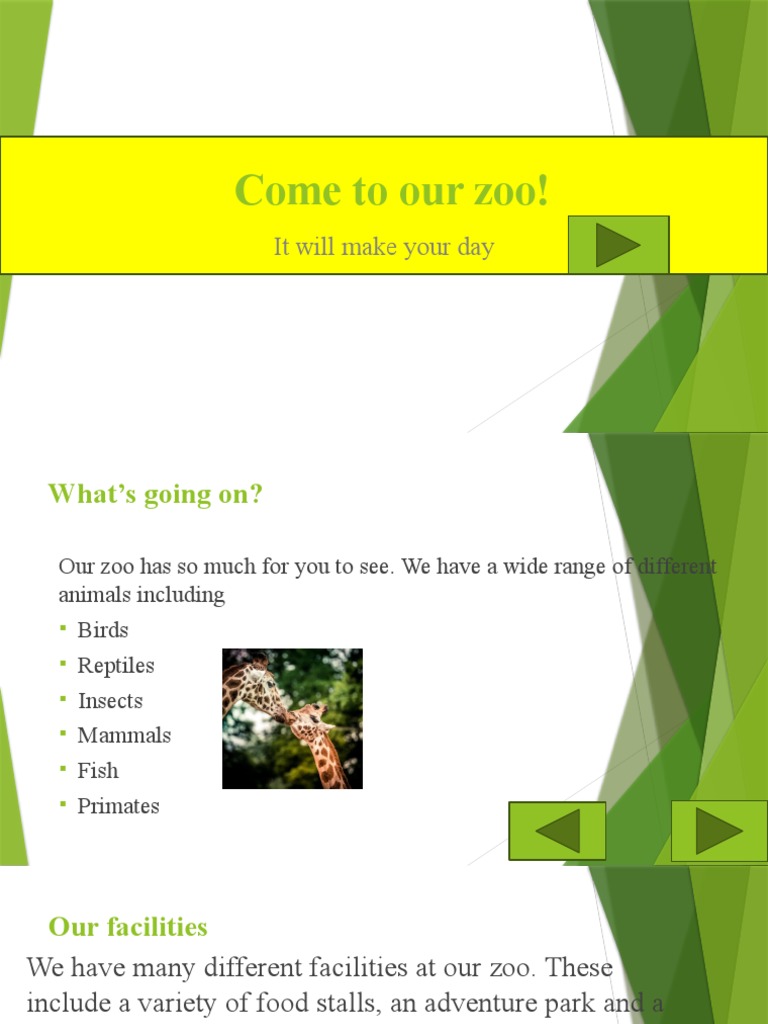 Zoo Advert | PDF