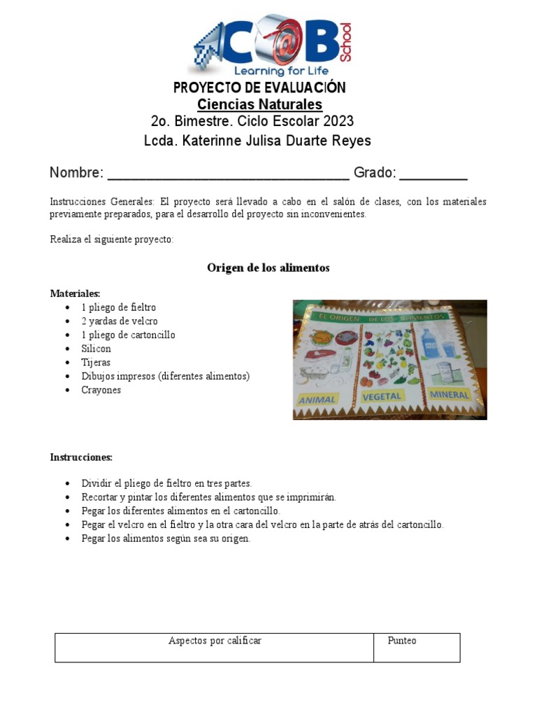 Proyecto Final 2do. Primaria-1 | PDF | Evaluación | Modificación de comportamiento