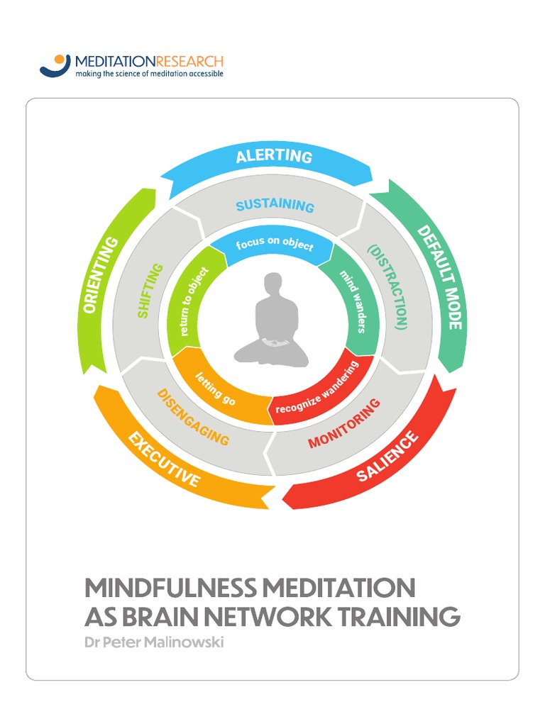 Brain Networks and Meditation Leaflet | PDF | Cingulate Cortex ...
