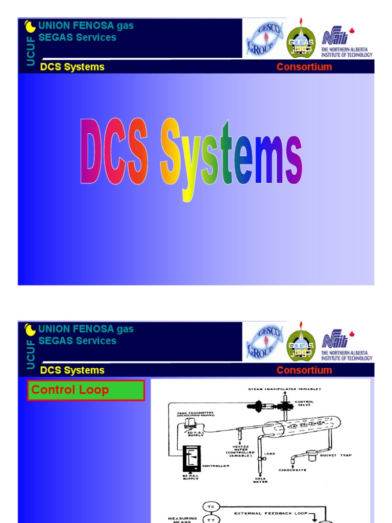 Dcs System | PDF | Programmable Logic Controller | World Wide Web