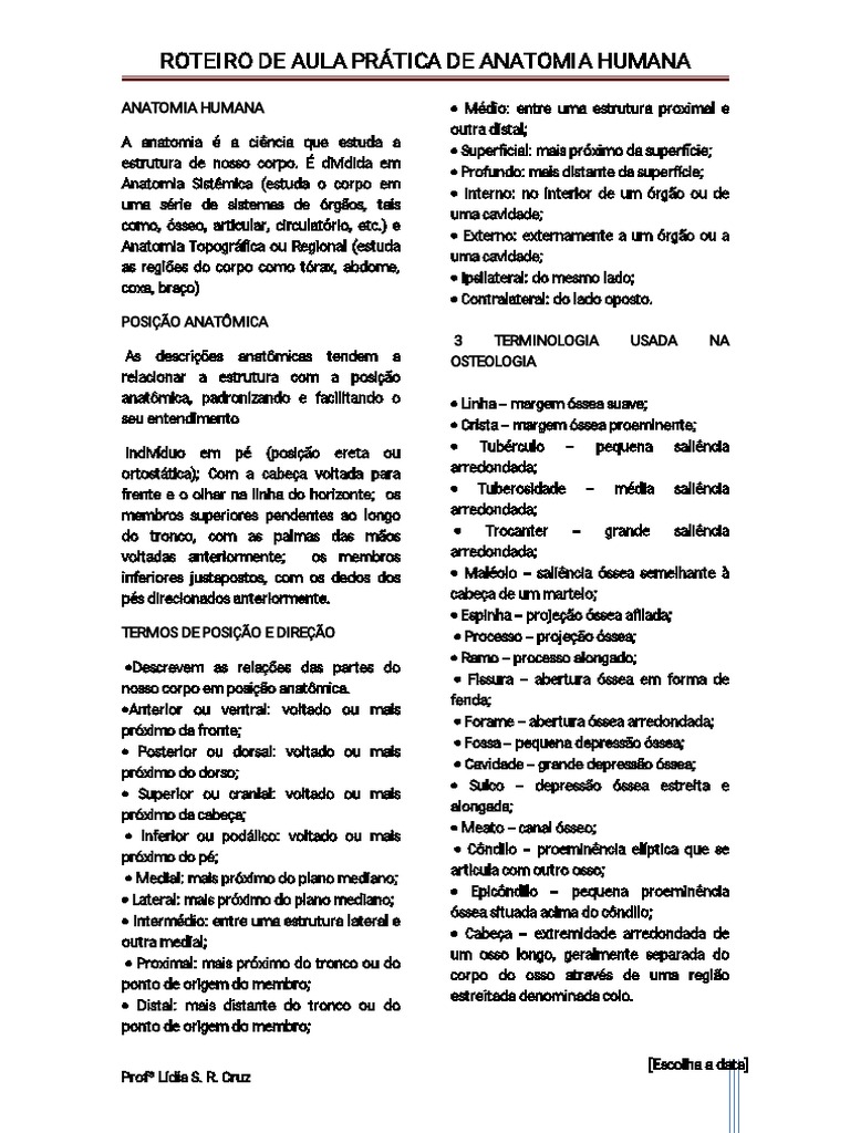 ANATOMIA HUMANA Roteiro de Lab | PDF | Anatomia | Coluna vertebral