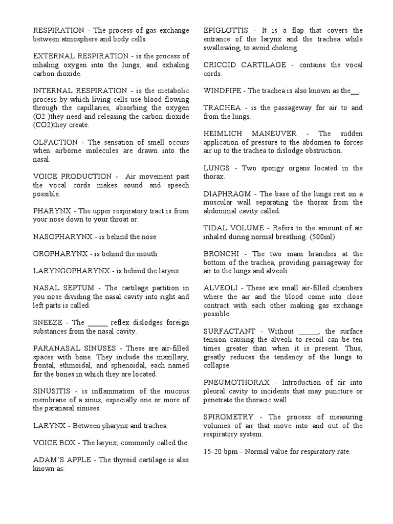 Reviewer Respiratory System | PDF