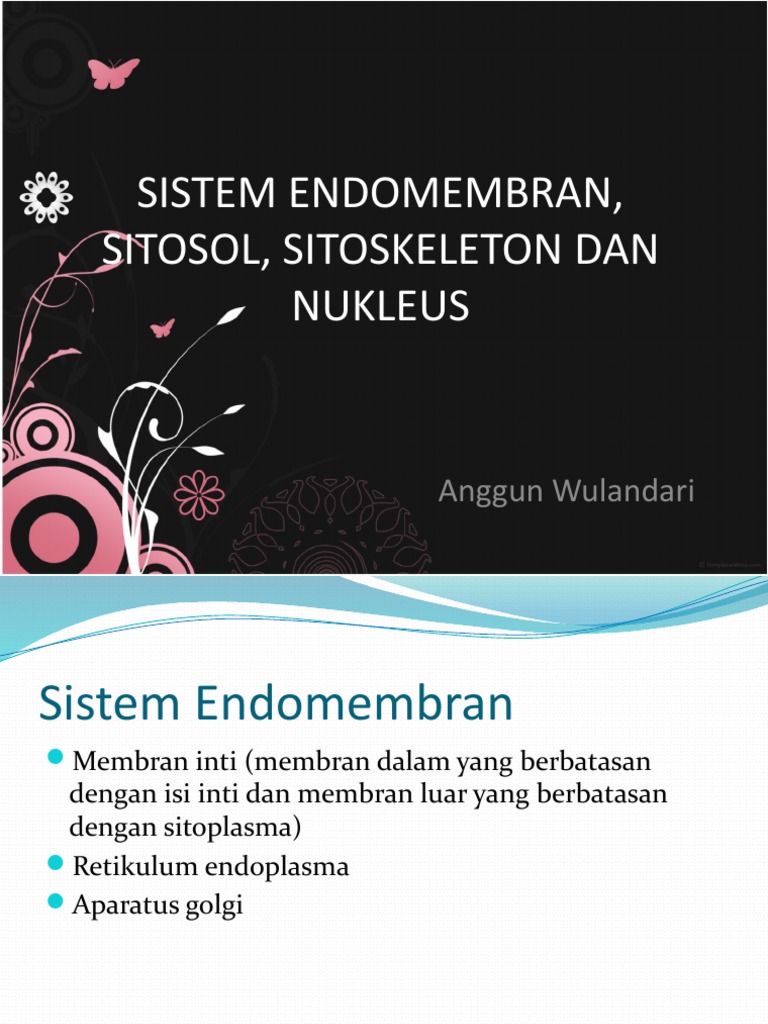 Sistem Endomembran, Sitosol, Sitoskeleton Dan Nukleus | PDF | Sains ...