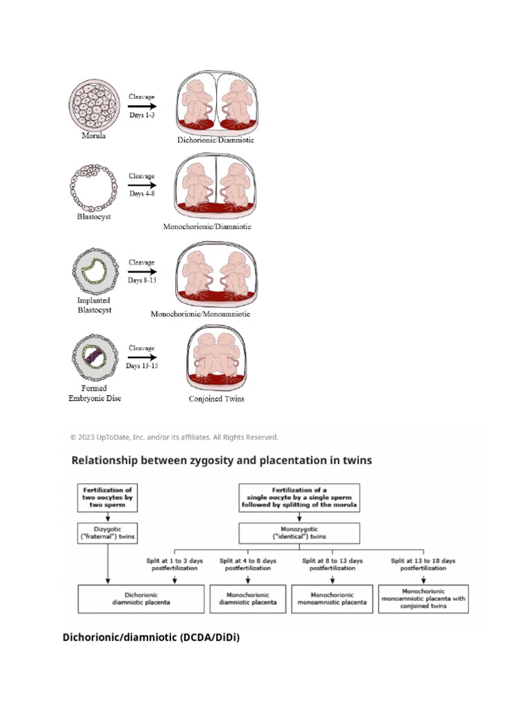 Gemelli | PDF | Social Science