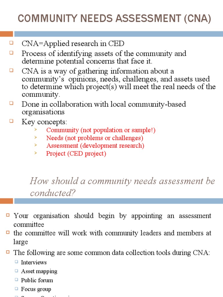 Community Needs Assessment Guide | PDF | Needs Assessment | Community