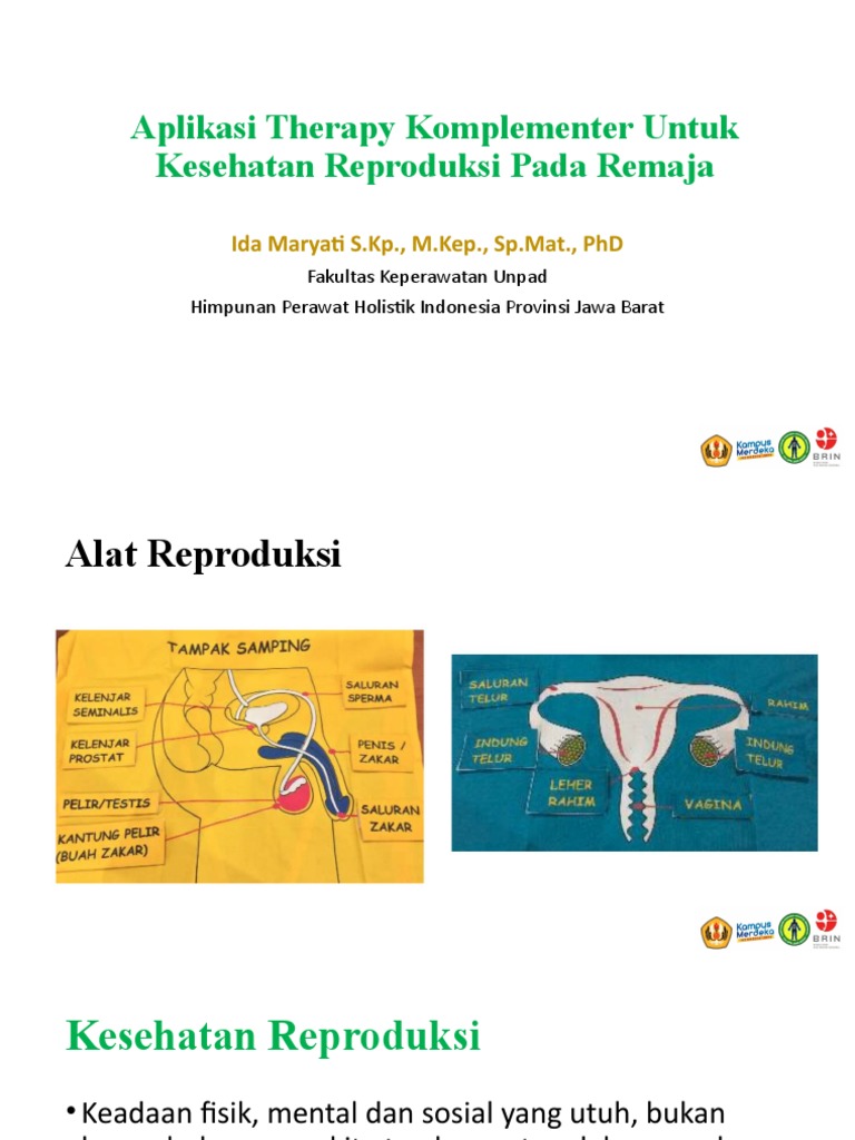 Terapi Komplementer untuk Kesehatan Reproduksi Remaja | PDF