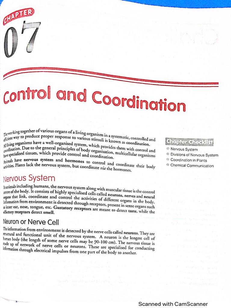 Control and Coordination Class 10 Cbse | PDF