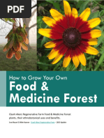 Farming The Woods - Sample From Chapter 4: Food From The Forest | PDF ...