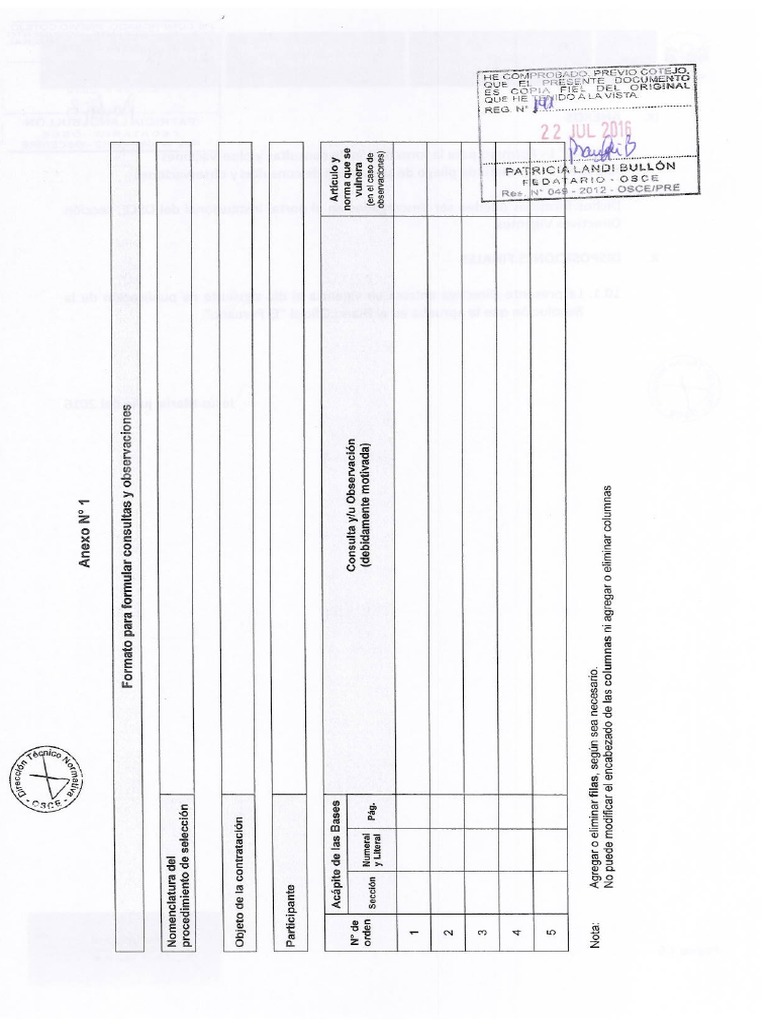 Formato 1 Formulacion de Consultas U Observaciones | PDF
