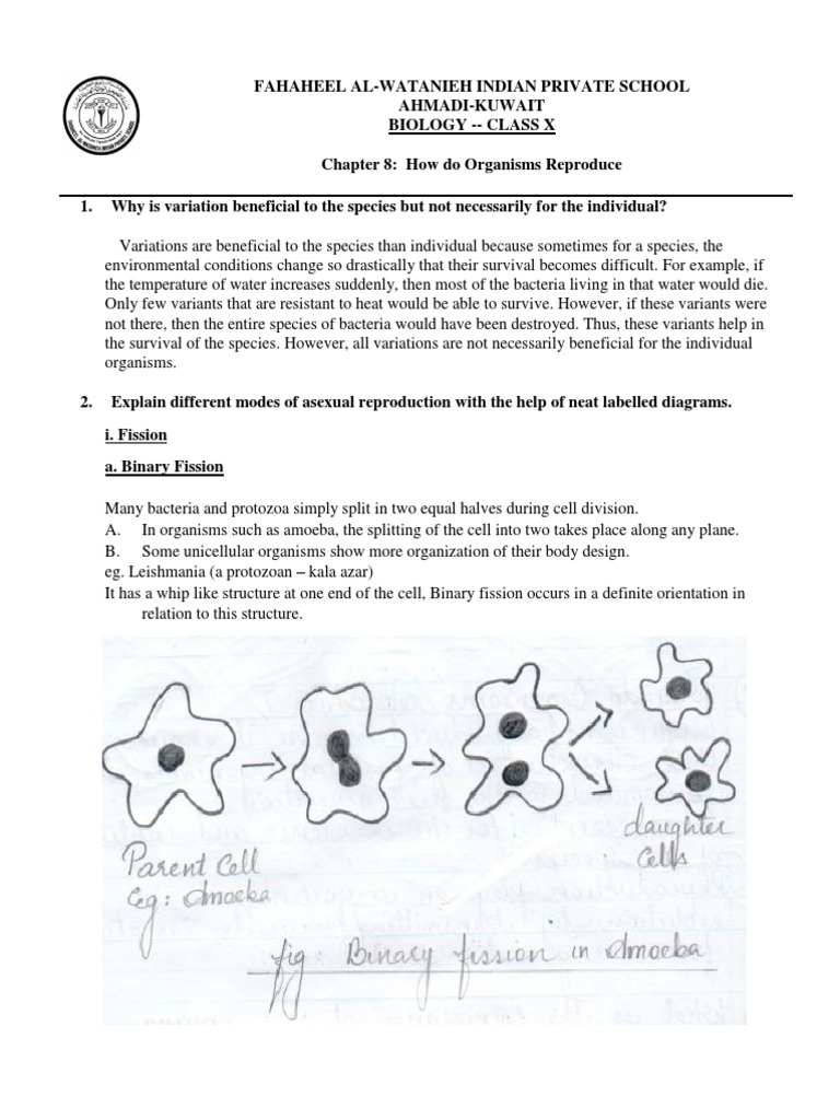 How Do Organisms Reproduce - Notes-Class 10 | PDF | Flowers | Reproduction