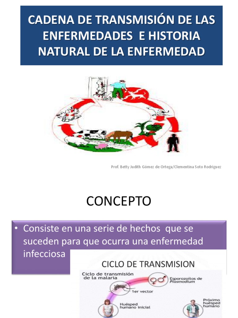 Cadena de Transmisión de Enfermedades | PDF | Infección ...