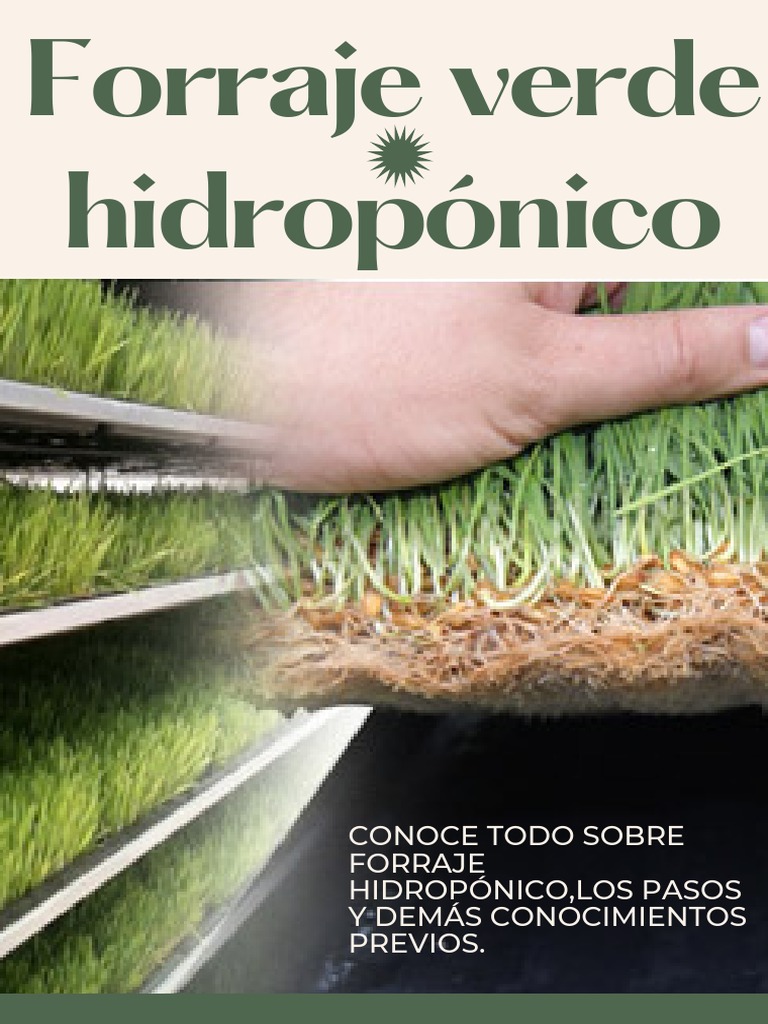 Forraje Verde Hidropónico: Guía Completa | PDF