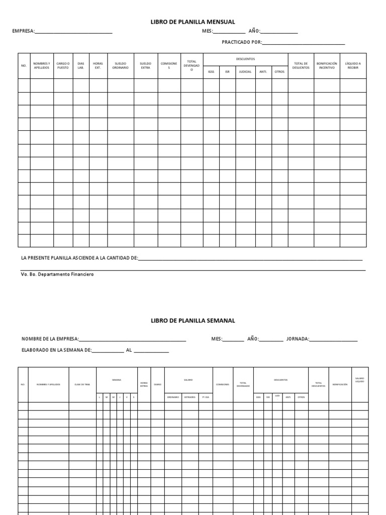 Libro de Planilla Mensual 2 | PDF | Economias | Business