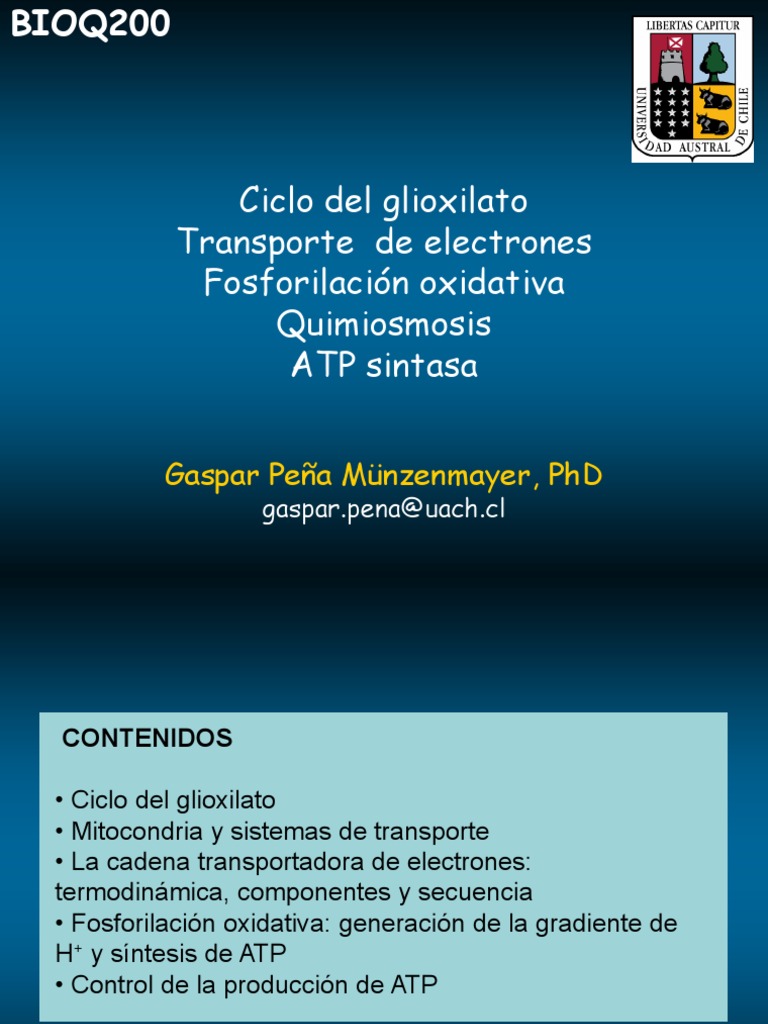 BIOQ200 Transp Elec Gliox F Ox 7 Clase19 6 GPM | PDF | Cadena de transporte de electrones ...
