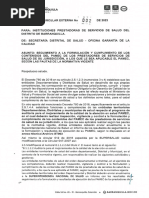 Instructivo Formato ST002 PAMEC | PDF