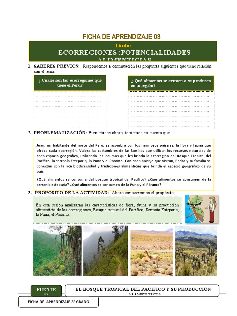 3 Ficha de Aprendizaje CCSS 3° Grado | Descargar gratis PDF | Fauna