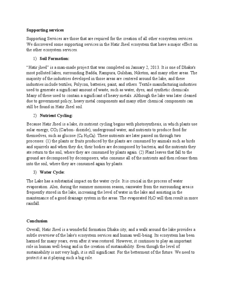Gen 203 Assignment | PDF | Ecosystem | Soil
