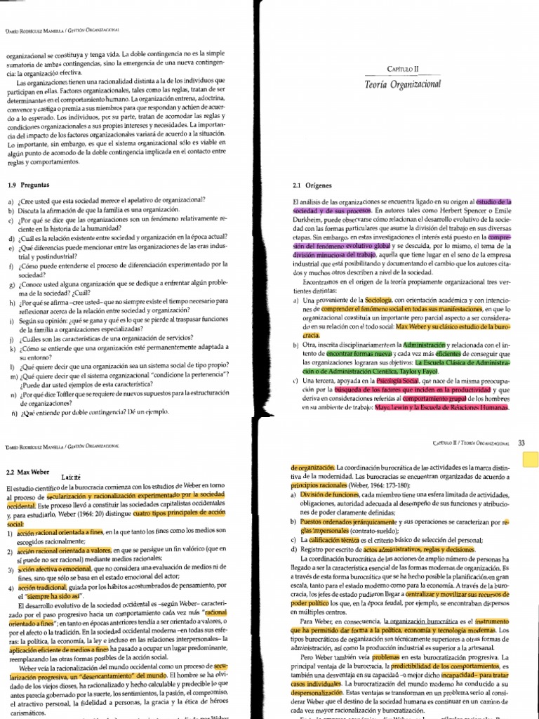 Extracto - Libro Gestión Organizacional - Darío Rodríguez | PDF ...