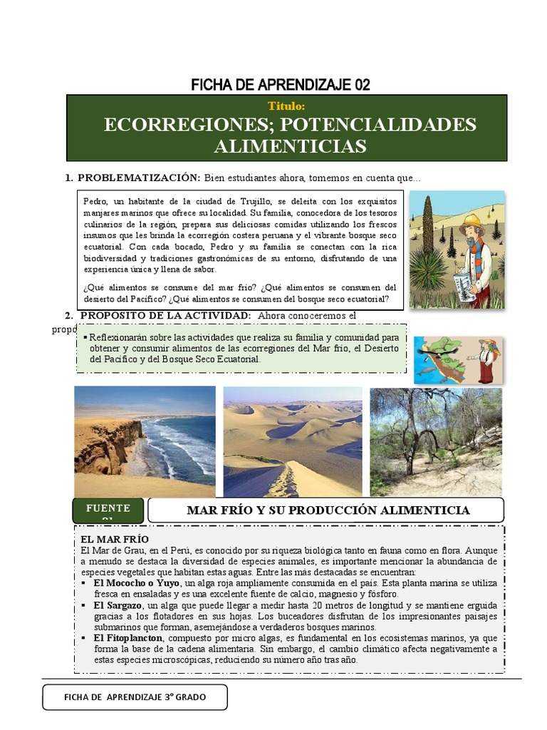 2 FICHA DE APRENDIZAJE CCSS 3° GRADO (1) | PDF | Organismos
