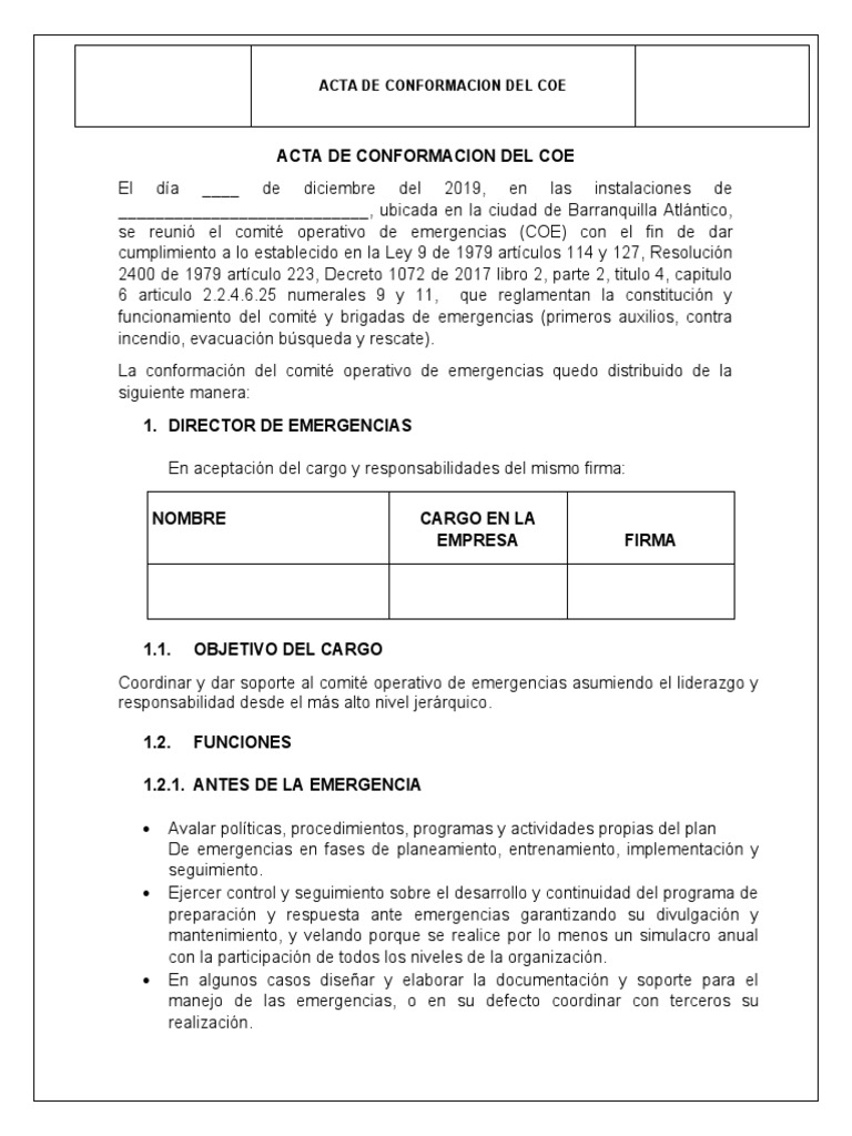 Acta de Conformacion Del Coe | PDF