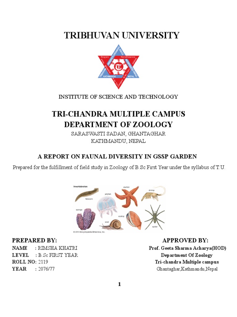 First Year Zoology Report | PDF