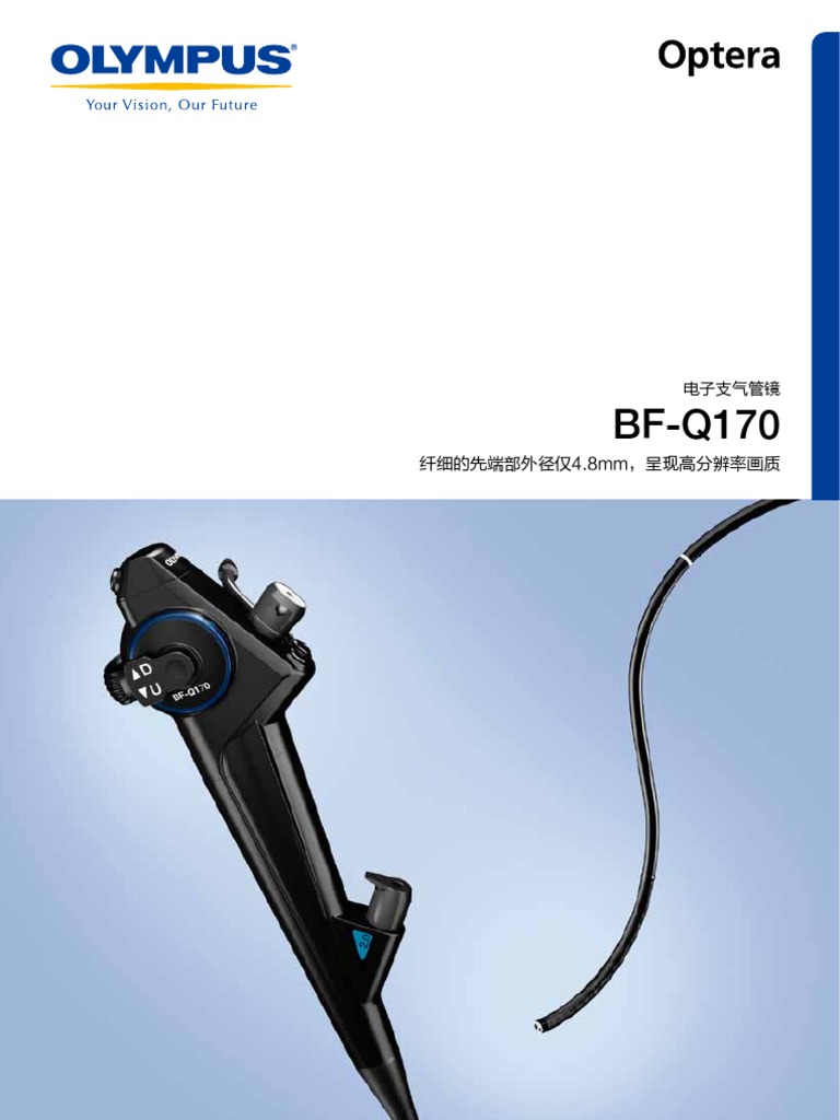 BF Q170 | PDF