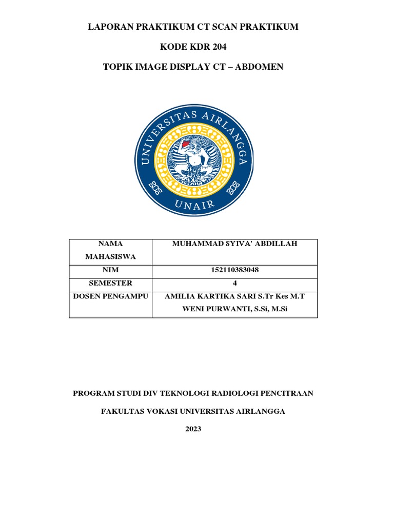 Tampilan Gambar CT Scan Abdomen | PDF