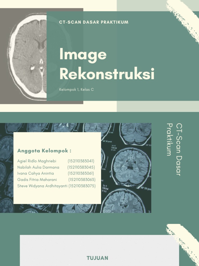 Praktikum Rekonstruksi Citra CT-Scan | PDF