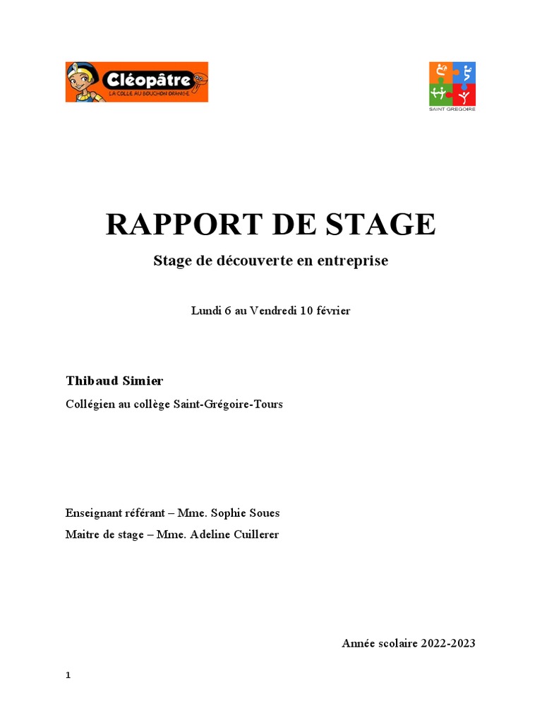 Rapport de Stage 3eme | PDF | Business