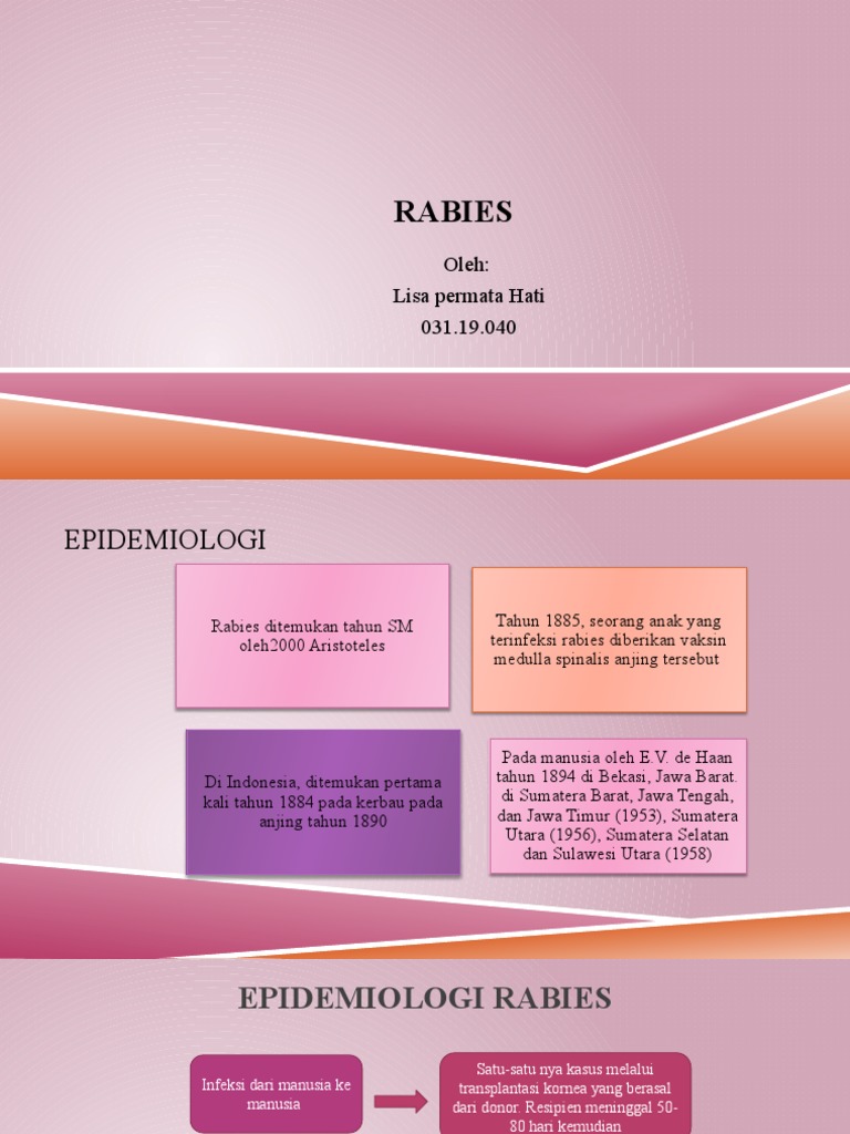 Rabies | PDF