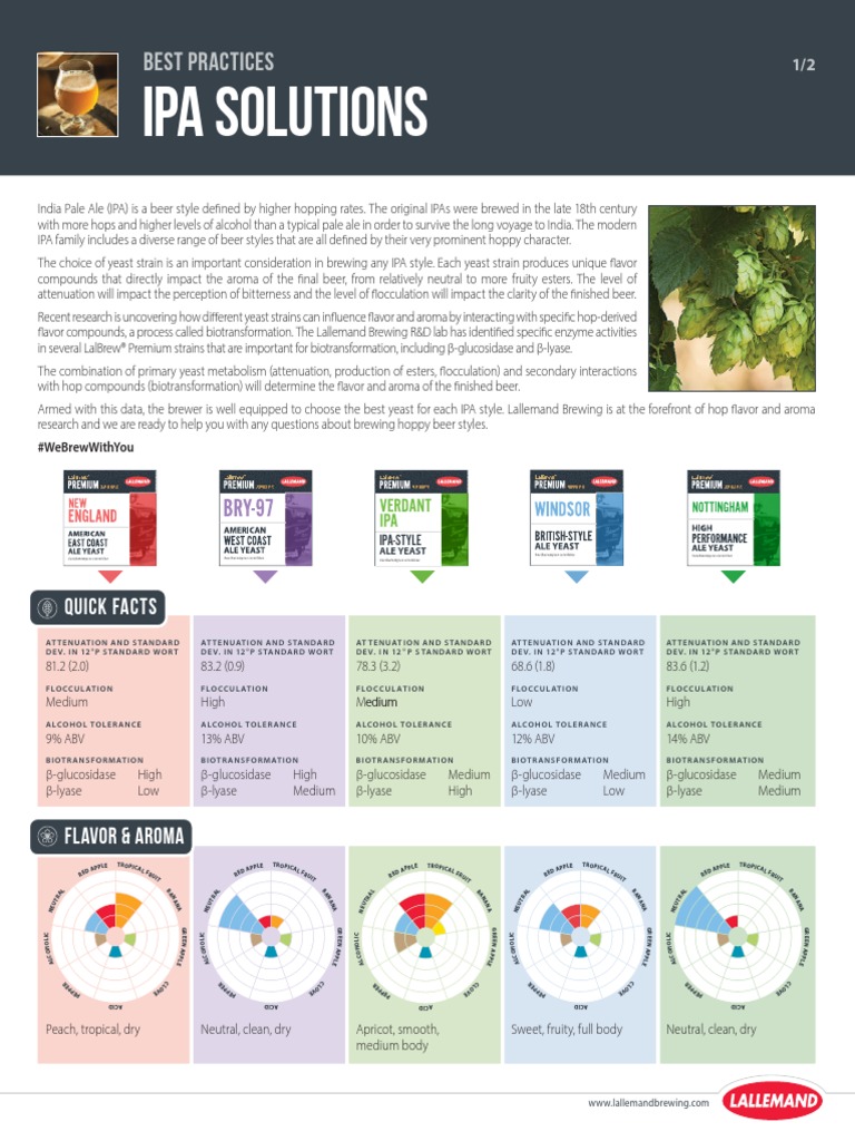 LAL-bestpractices-IPA_solutions-ENG-digital | PDF