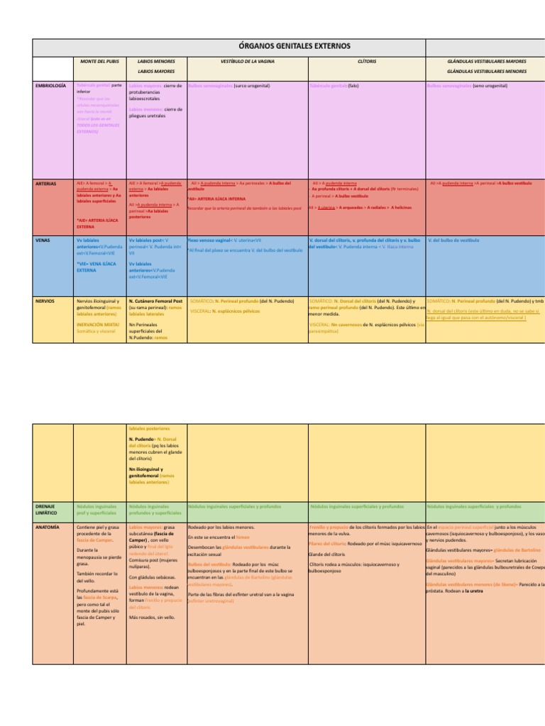 Actividad Fase 3 M10 | PDF | Clítoris | Vagina