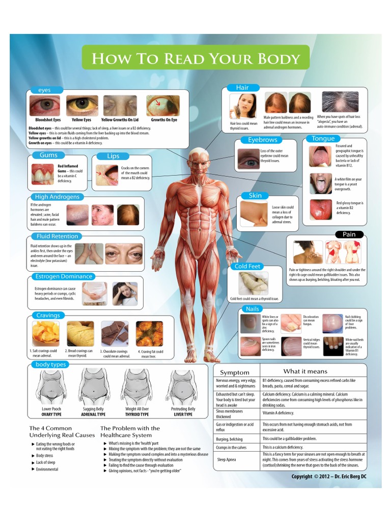 How To Read Your Body | PDF