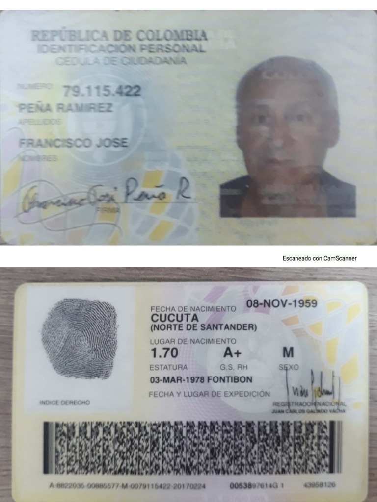 Cedula Francisco | PDF