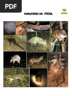 Animais Da Caatinga | PDF