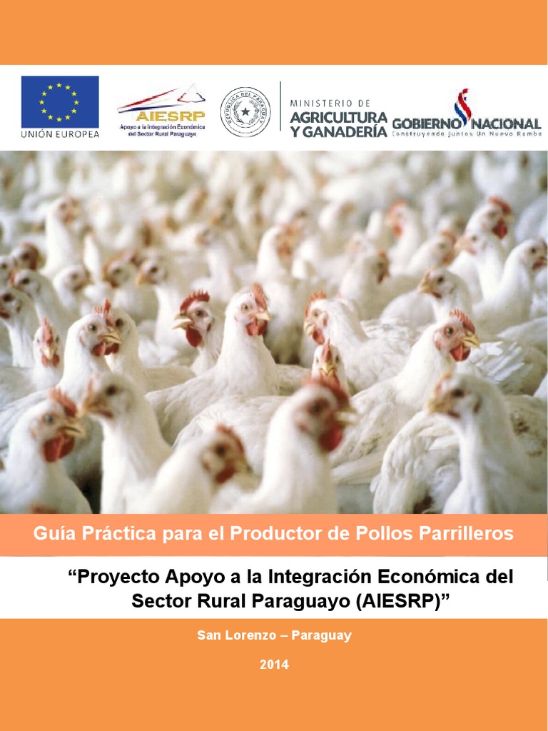 Pollos Parrilleros | PDF | Agua | Alimentos