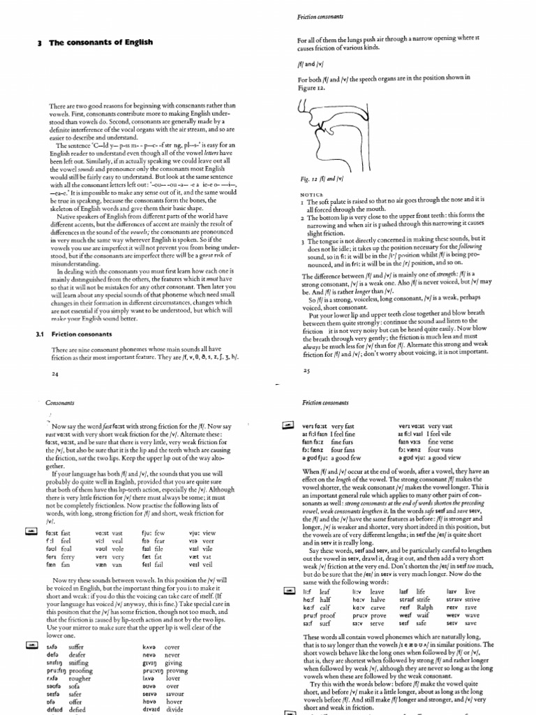 Reading Material 2 | PDF
