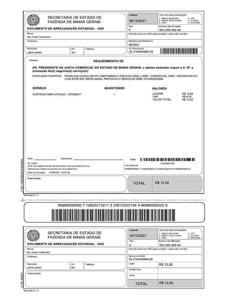DAE - Certidão Simplificada | PDF