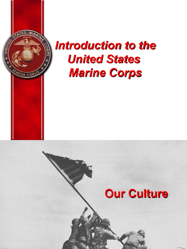 Understanding Marine Corps Structure | PDF | Marine Air Ground Task ...