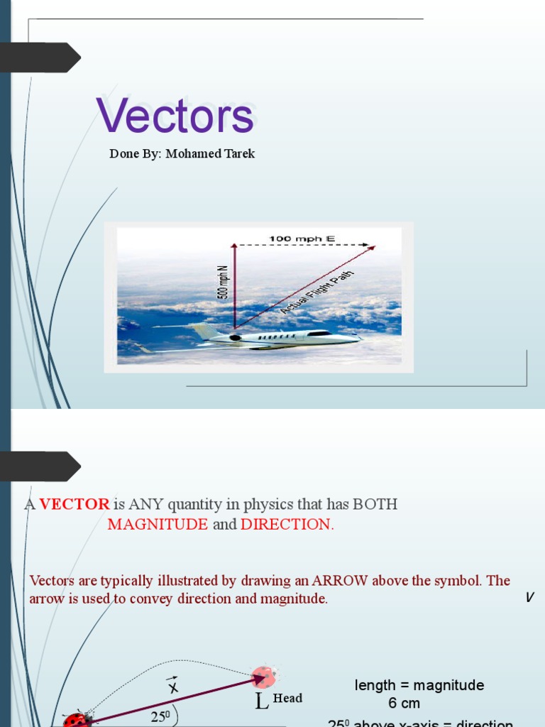 Vectors | PDF | Euclidean Vector | Physical Quantities