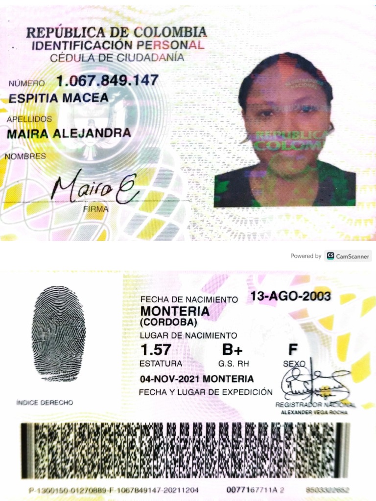 Documento de Identificación | PDF