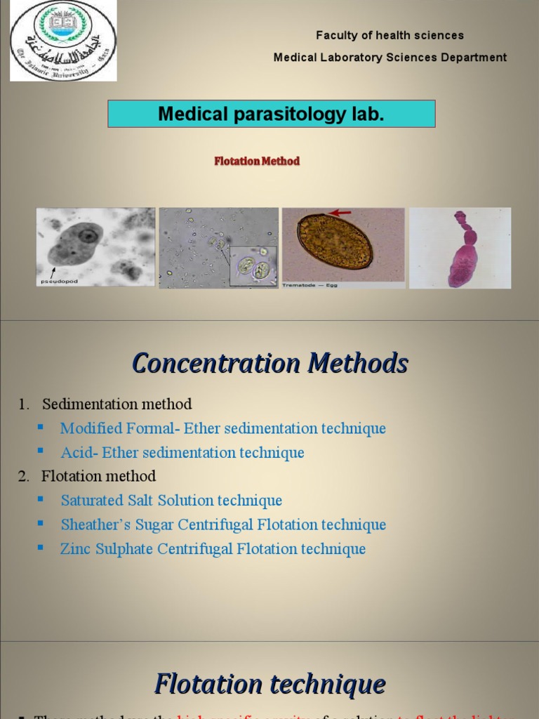 Flotation Lab | Download Free PDF | Chemistry
