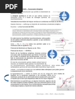 Metodo de Katona - REHABILITACION | PDF | Neurología | Cerebro