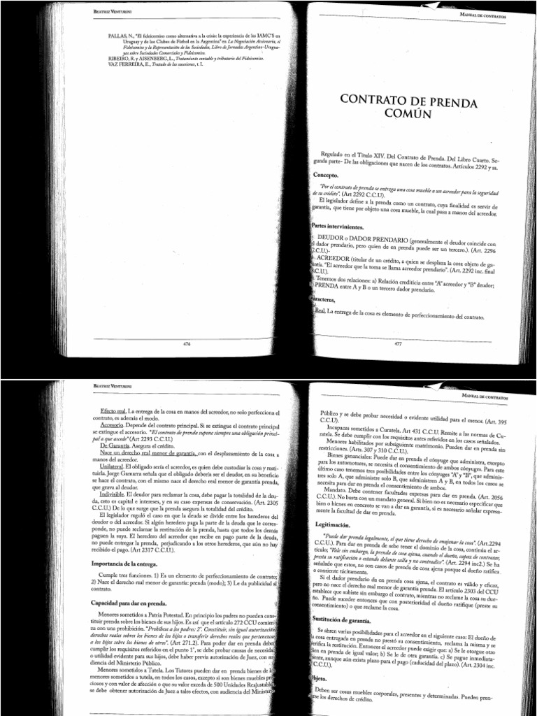 Manual Prenda y Prenda Sin Desp | PDF