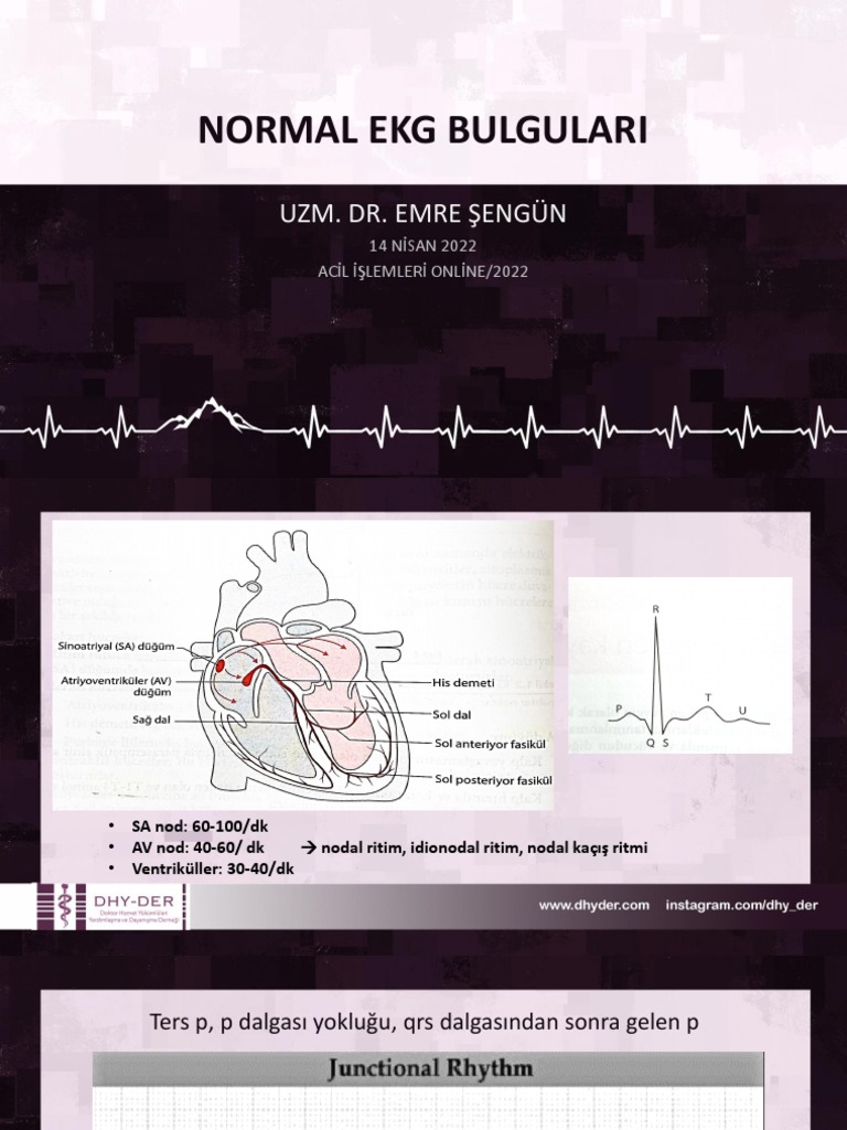 1.1. Ders Normal EKG Bulgulari – Uzm. Dr. Emre SENGUNi | PDF
