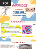 Anatomía y Fisiología de Los Parpados | PDF