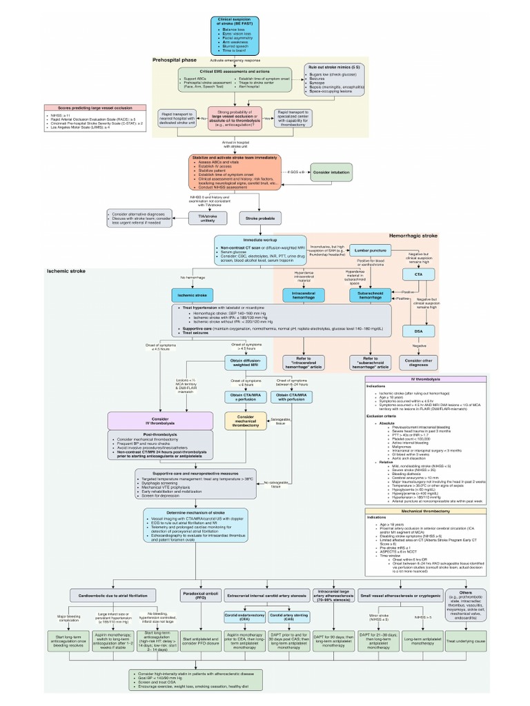 Medical Algorithms | PDF