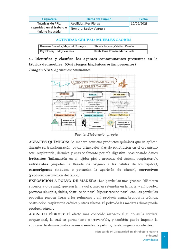 Muebles - Caobin 2 | PDF | Higiene Ocupacional | Especialidades Medicas